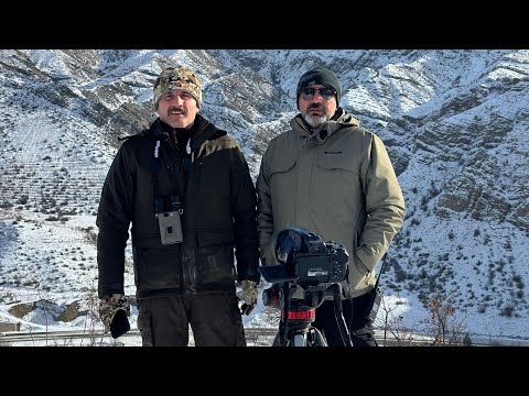 Erzurum Uzundere 2026 Teke avı Erkan Demirci & Furkan Düzenli