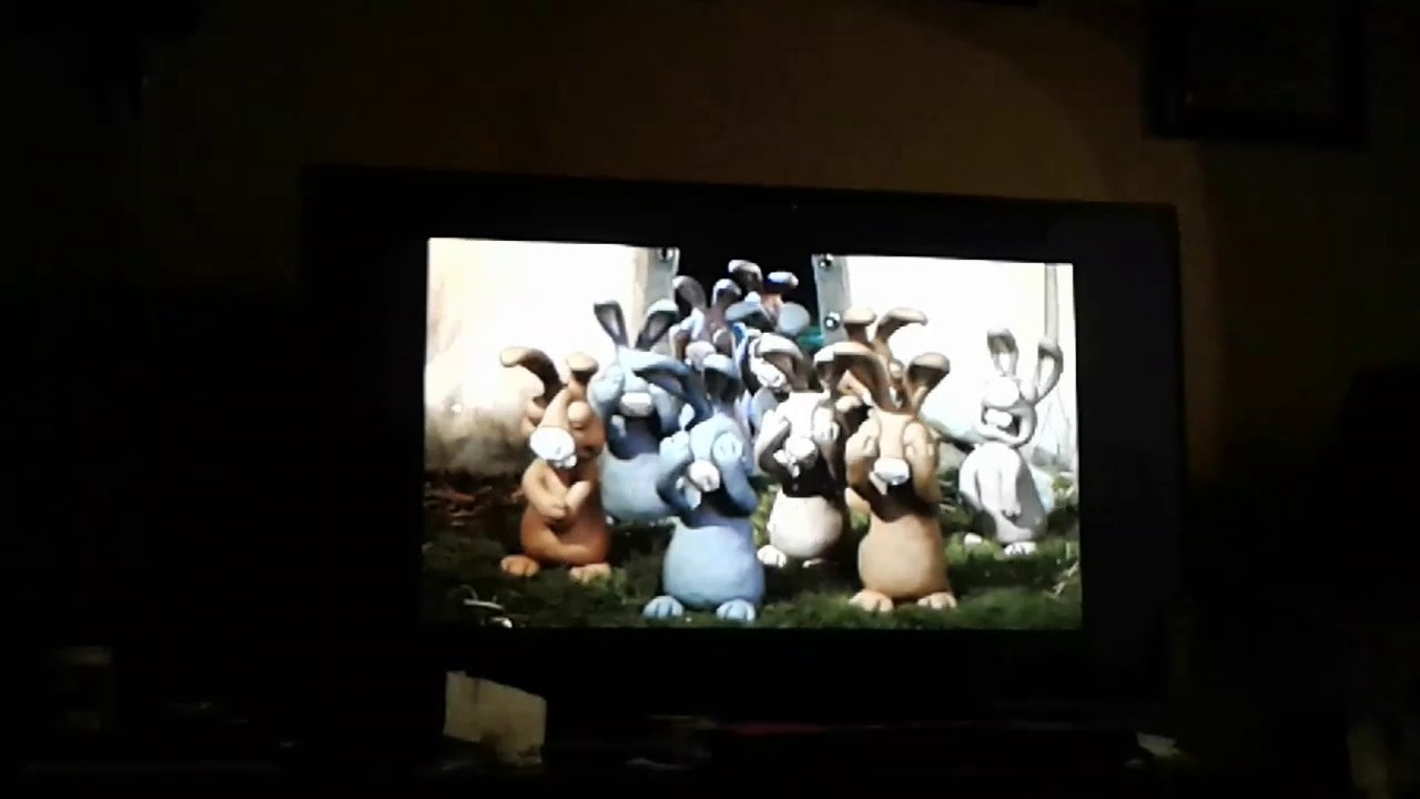 Rabbits Crying - YouTube