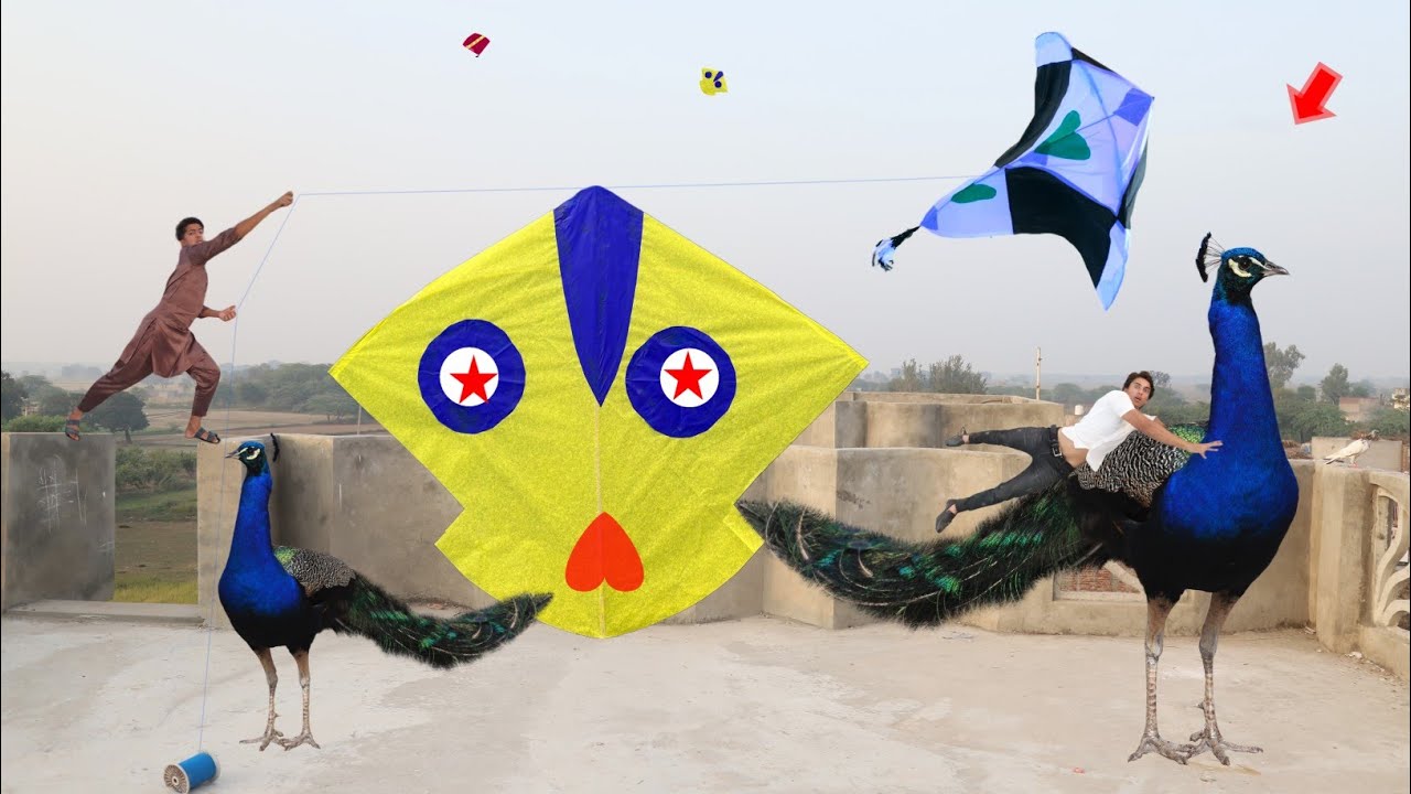 Kite With Nasir Peacock Catch Abubakar | Kite - YouTube