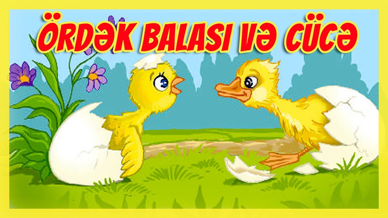 ÖRDƏK BALASI VƏ CÜCƏ - YouTube