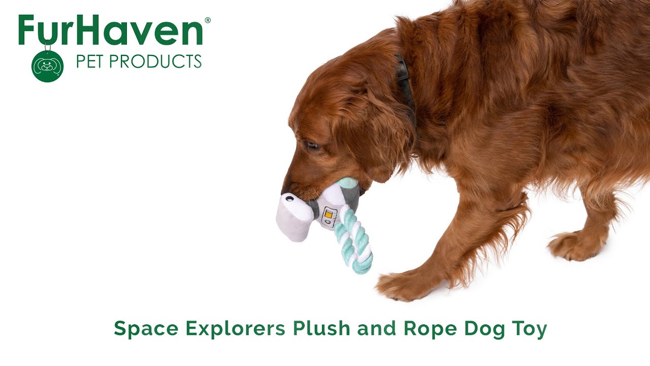 ROVER Space Explorers Plush and Rope Dog Toy - Furhaven Pet Products ...