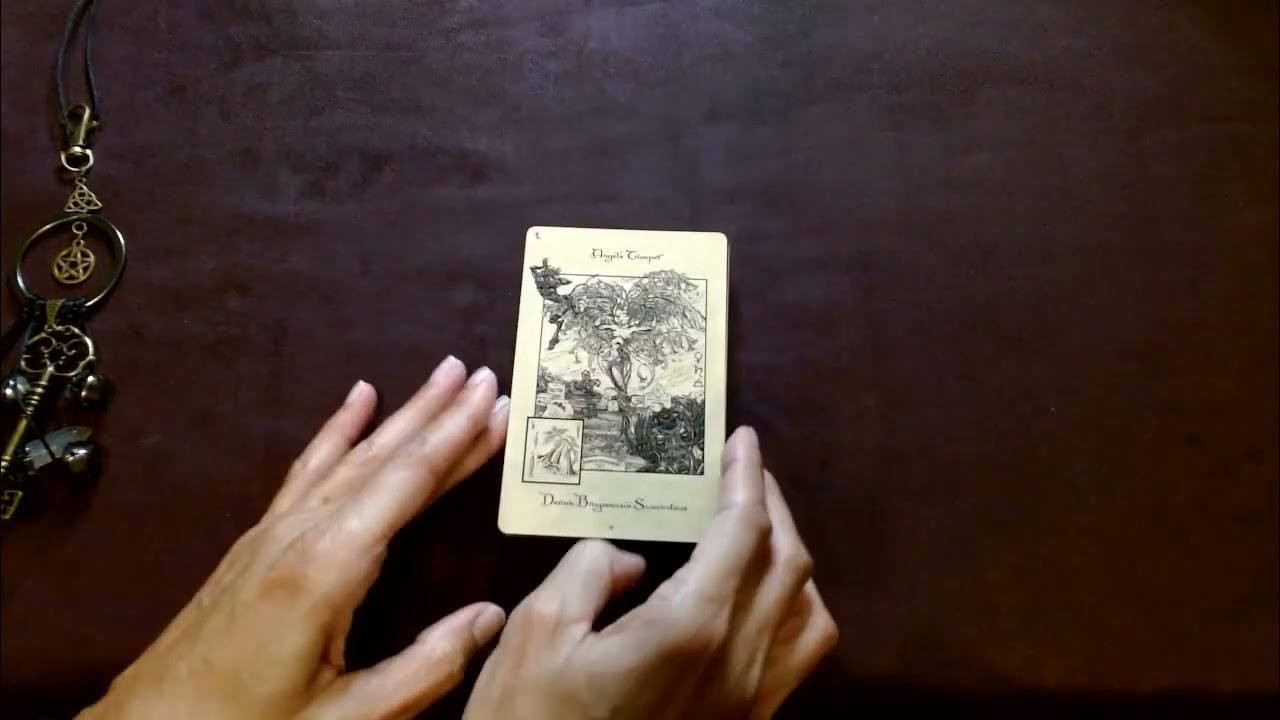 Magickal Botanical Oracle Tarot Deck Review Insights Youtube