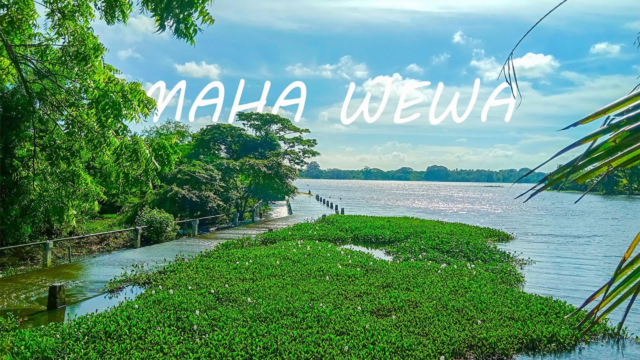 MAHA WAWE TRAVEL. - YouTube