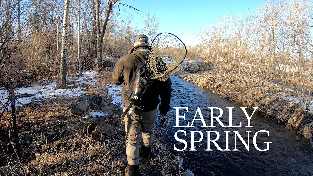 EARLY Spring Fly Fishing! - Small Creek BROWN TROUT! - YouTube