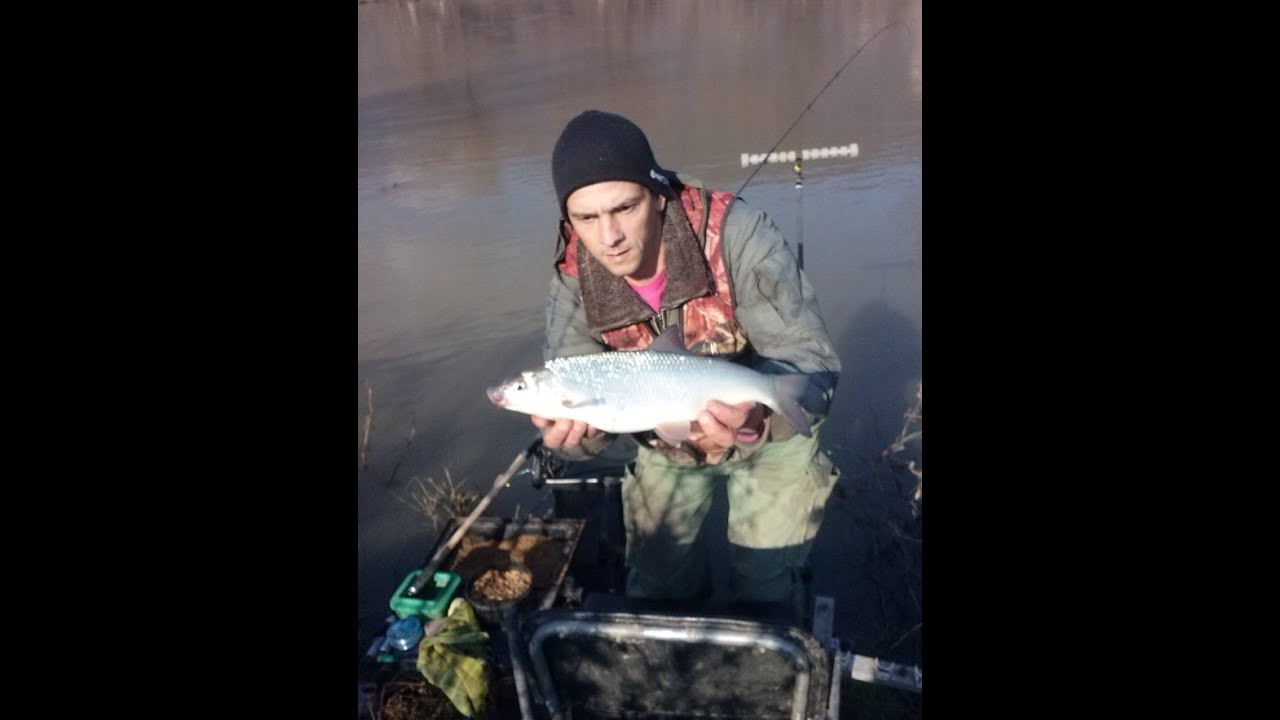 Zapadna morava ...fider i skobalj 02 - YouTube