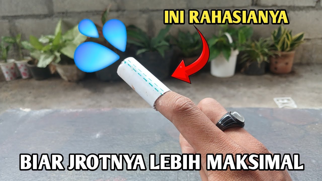 TRIK RAHASIA !!! CARA AGAR SEMBURANMU MAKSIMAL - YouTube