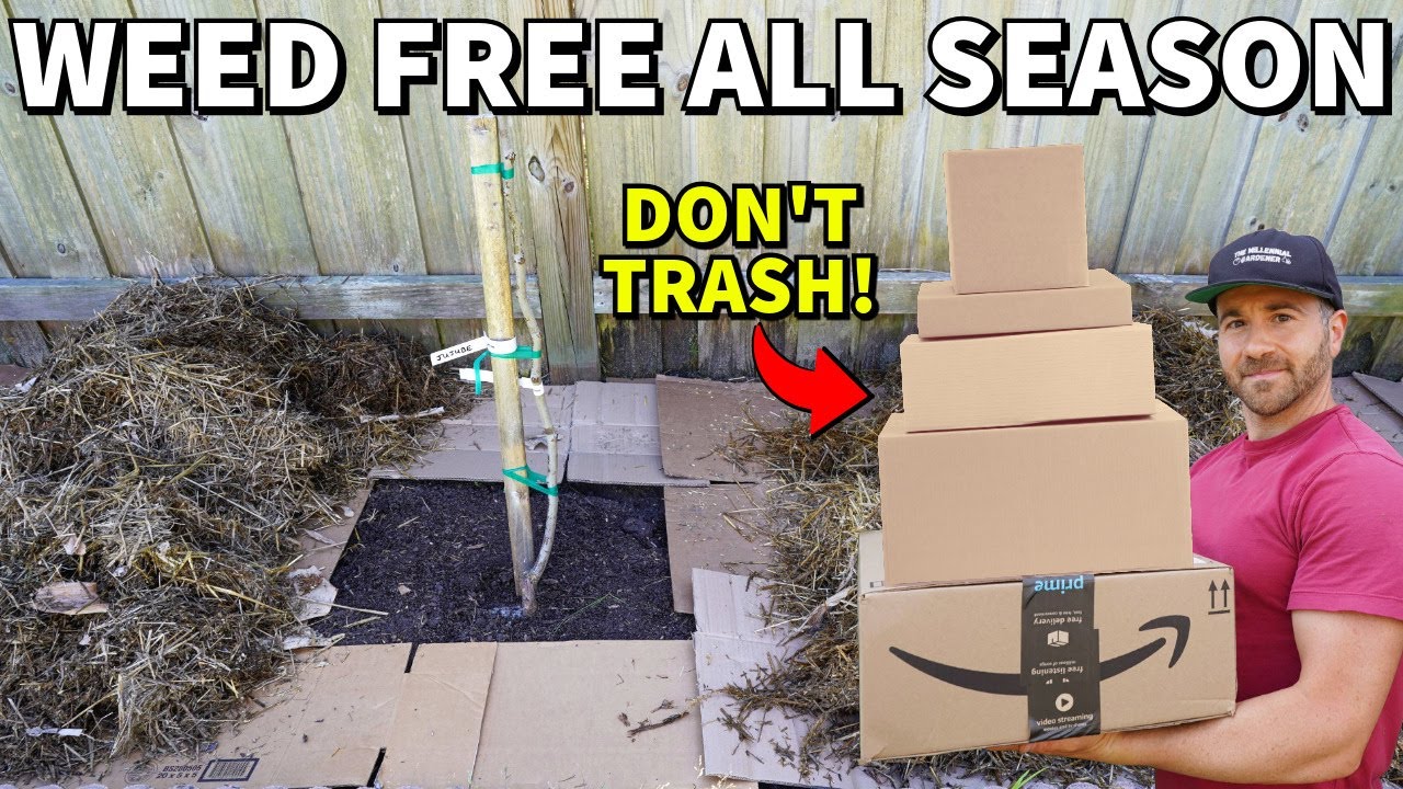Make Your Yard WEED FREE All Season Using Recycled Trash! - YouTube