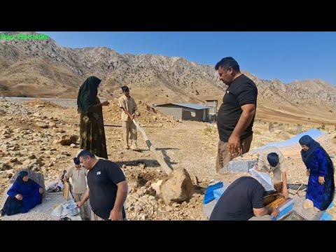 Nomadic Life and Hard Work in the Heart of the Zagros Mountains 🌄⛰️