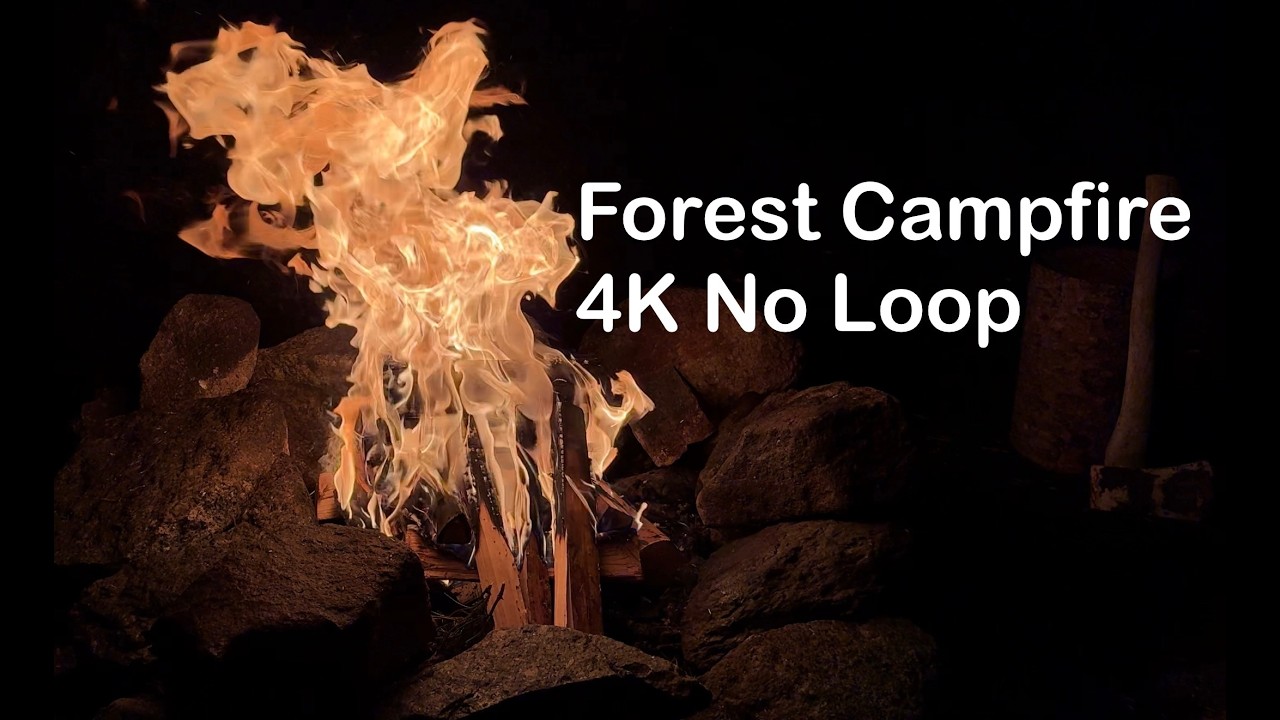 Forest Campfire 4K HDR 60FPS - Real Fireplace for Smart TV - Gentle ...
