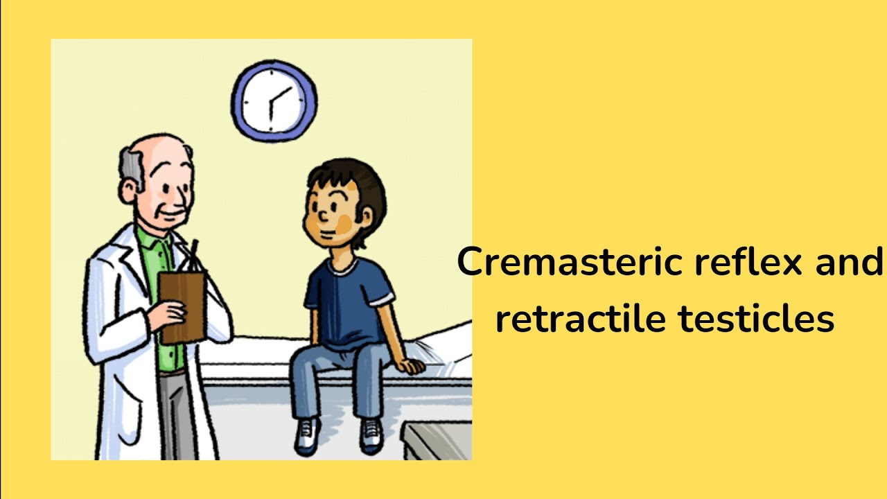 Retractile testicles for the boards - YouTube