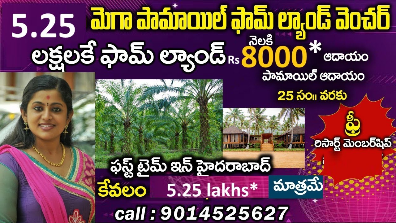 ఫస్ట్ టైం 5.25 లక్షలకే ఫామ్ ల్యాండ్ కొనండి నెలకి 8వేలు లీజు ఆదాయం ...