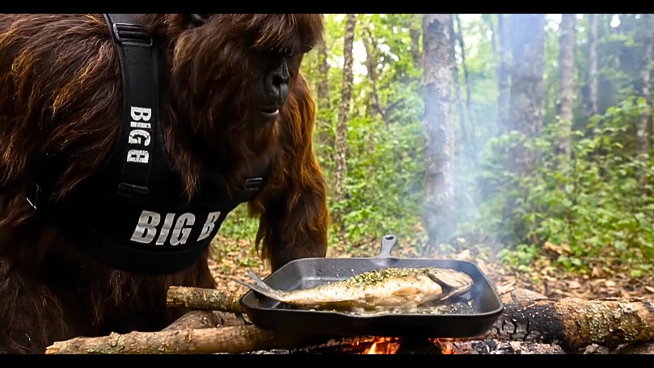 Bigfoot Traps Fish and Fires Up Forest Kitchen 🔥| Bigfoot Vlog - YouTube