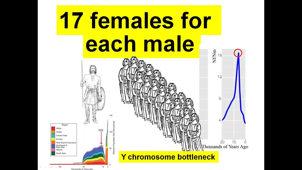 Y Chromosome Bottleneck Part II - YouTube