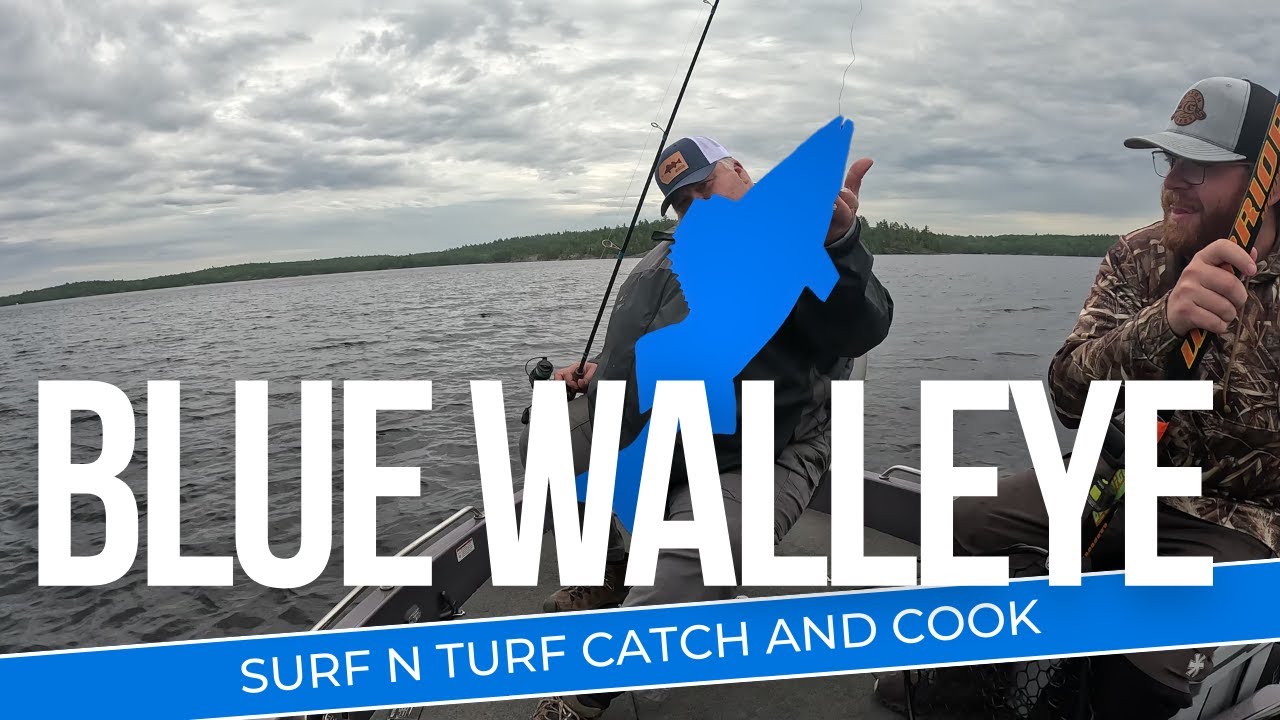 Blue Walleye (Catch and Cook Surf n Turf) - YouTube