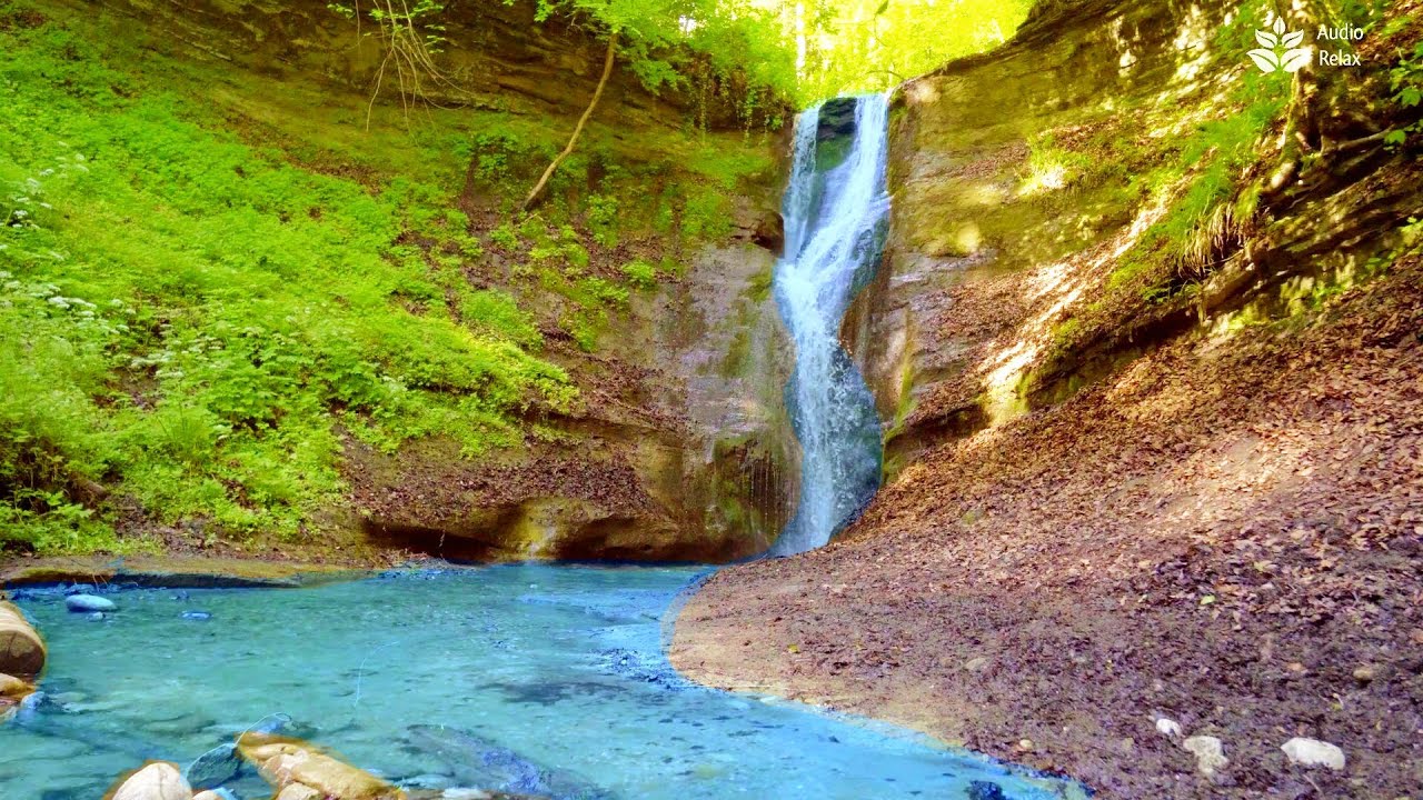 Gentle Water Stream Flowing and Jungle Waterfall Sounds. 10 hours - YouTube