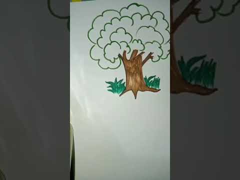 how to draw a 🥭 mango's tree art and 🎨 artist ✏️🎨