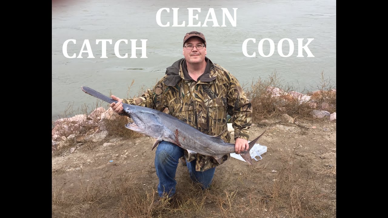 Paddlefish Catch Clean and Cook - YouTube