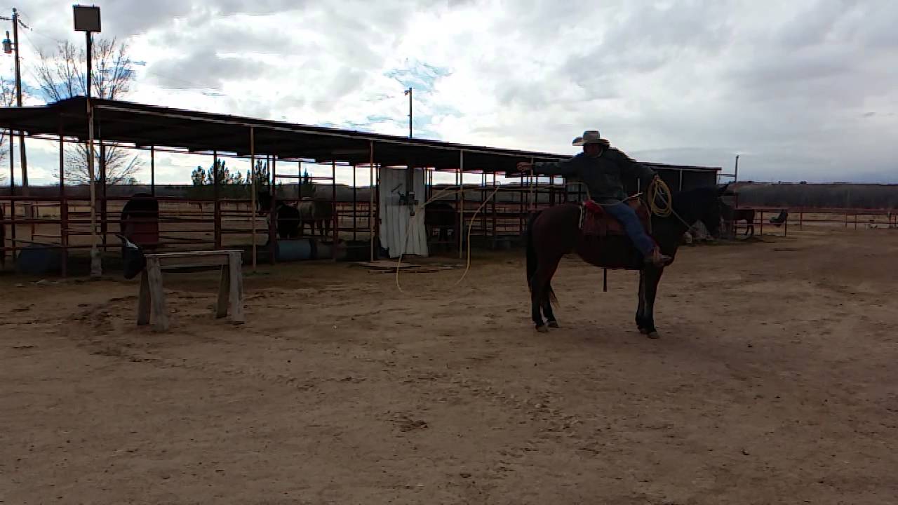 Ranch Roping- Back Hand hip shot - YouTube