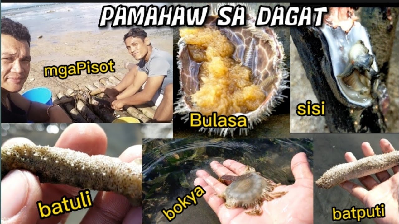 Vlog-237 PAMAHAW SA DAGAT|SISI|BULASA|BOKYA|BAT PERTING PAGKALAMIA ...