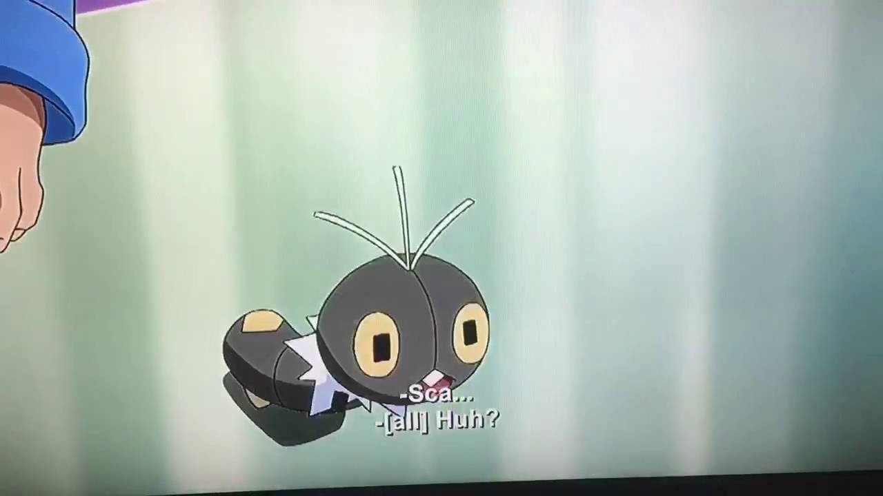 Pokemon X and Y Scatterbug evolves into Spewpa - YouTube