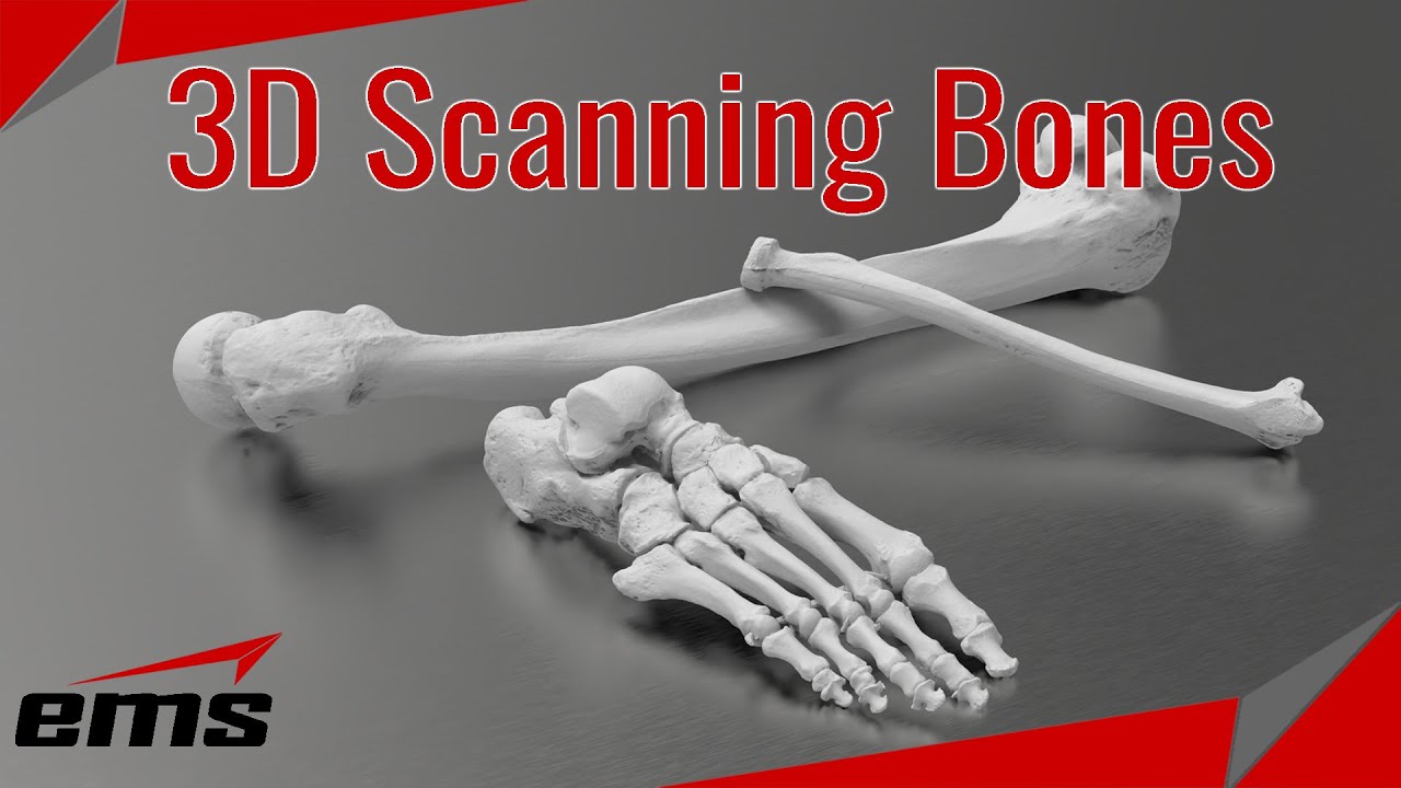 3D Scanning Bones - YouTube