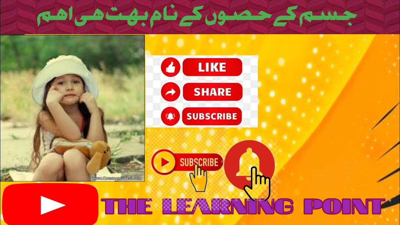 Name Of Inner Parts Of Human Body Insani Jism Ke Hisun Ke Naam parts Of name-of-inner-parts-of-human-body-insani-jism-ke-hisun-ke-naam-parts-of