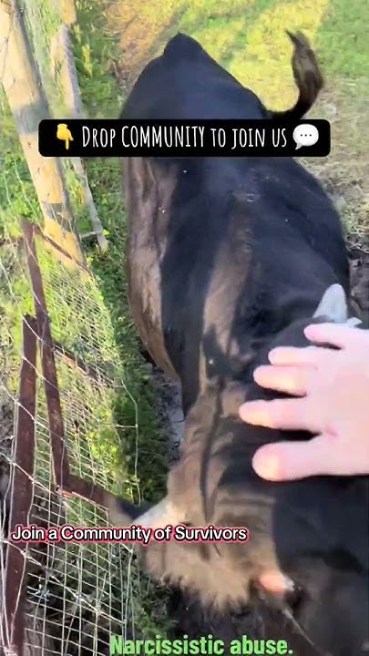 Narcissistic abuse leaves deep scars, but healing is possible - YouTube