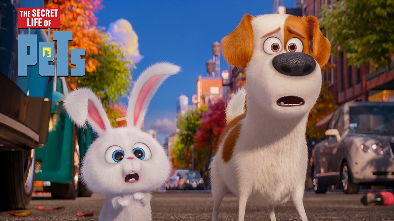 What Adventures Do Your Pets Get Up To?! 🐶 🦴 🐾 | Secret Life of Pets ...