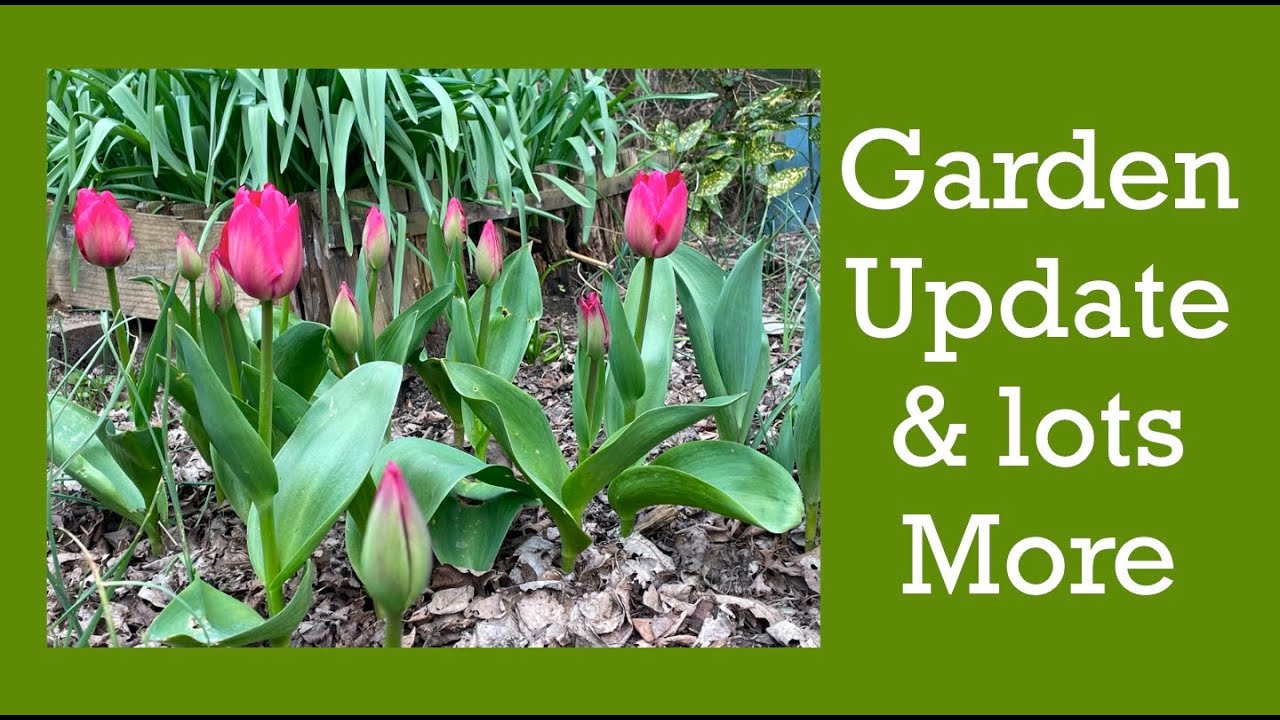 Indoor seed starting update /how I record all my seed progress ...