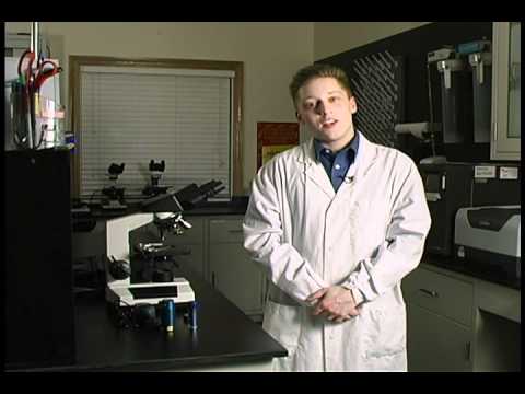 QBC ParaLens Advance: Installation - YouTube