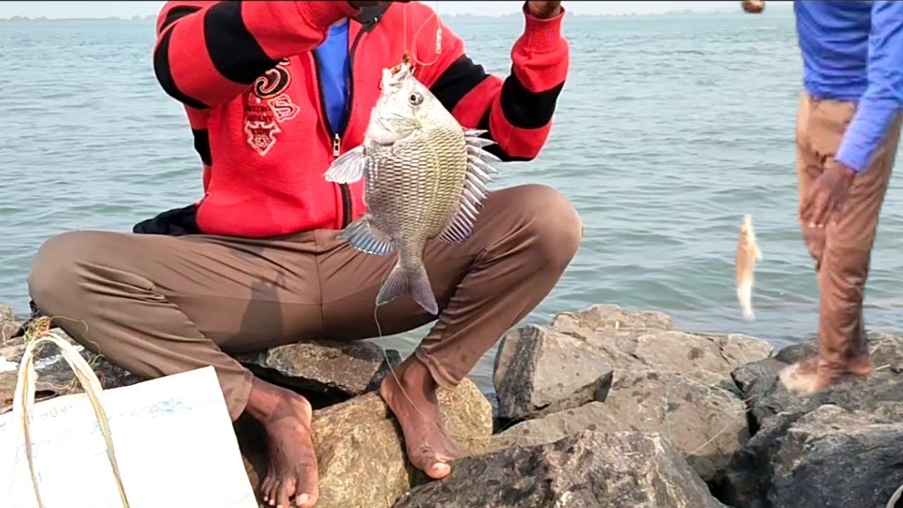 Almost 500 gm Khurant Fish Catching Video |Almost 500 gm Khurant ...