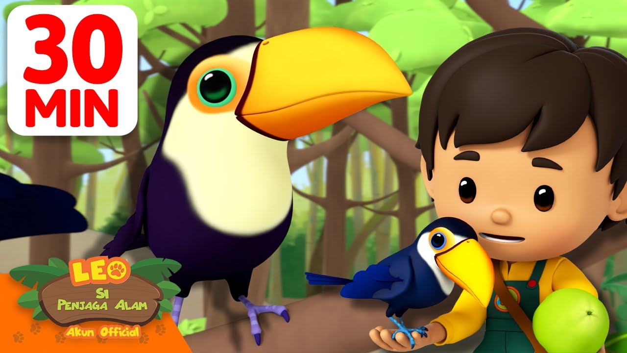 Junior Ranger Berteman dengan Burung Tukan Toco! | 30 Menit | Leo Si ...