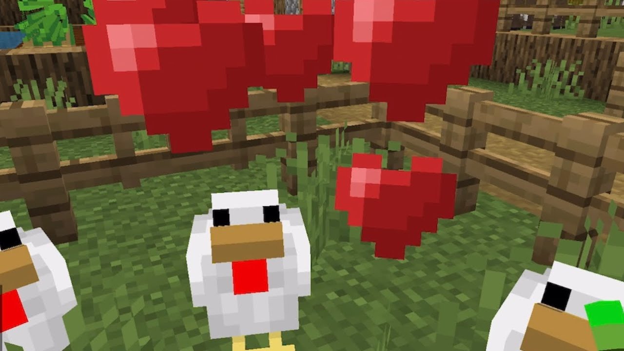 How to Breed Chickens in Minecraft - YouTube