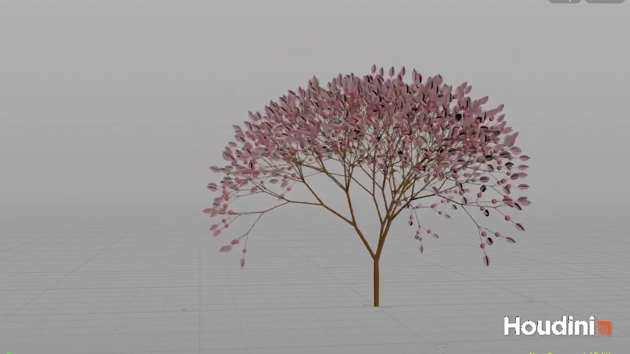 Houdini 2020 - Tree - YouTube