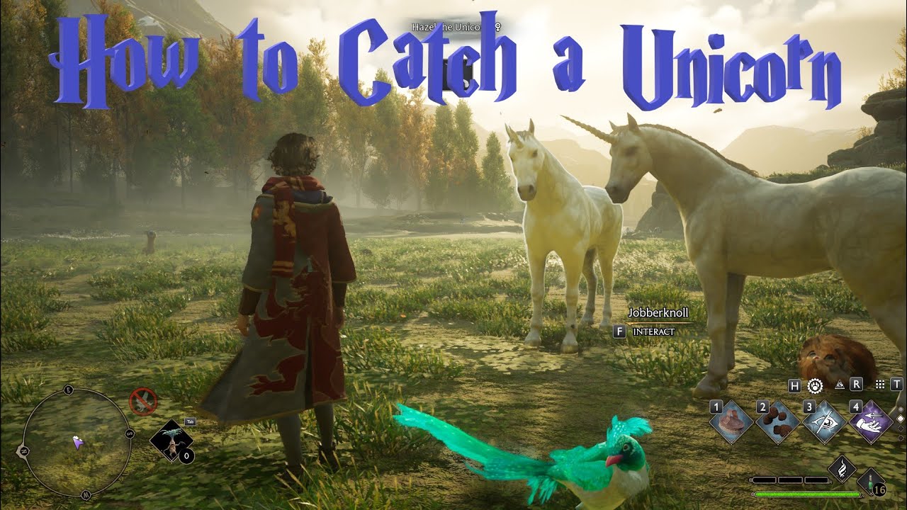 Hogwarts Legacy: Unique Unicorn - YouTube