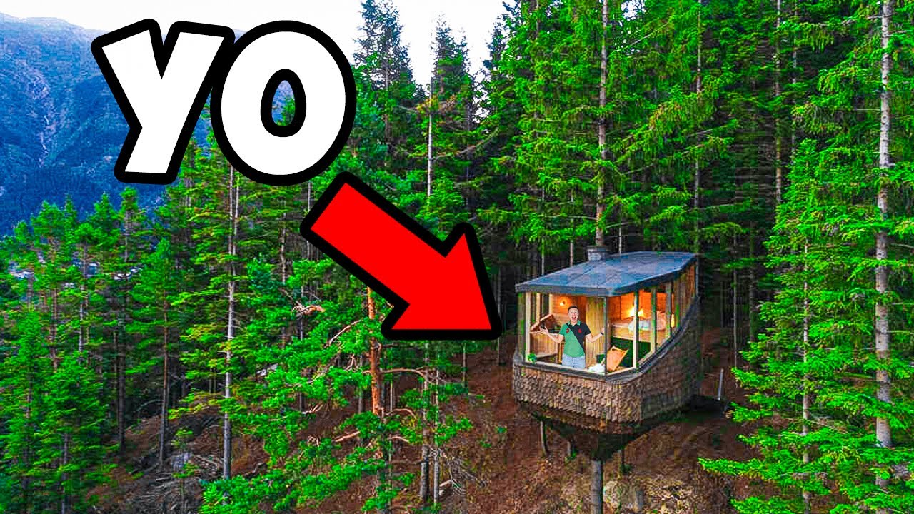 Pasé Una Noche En La Casa Del Árbol Más Lujosa Del País - YouTube