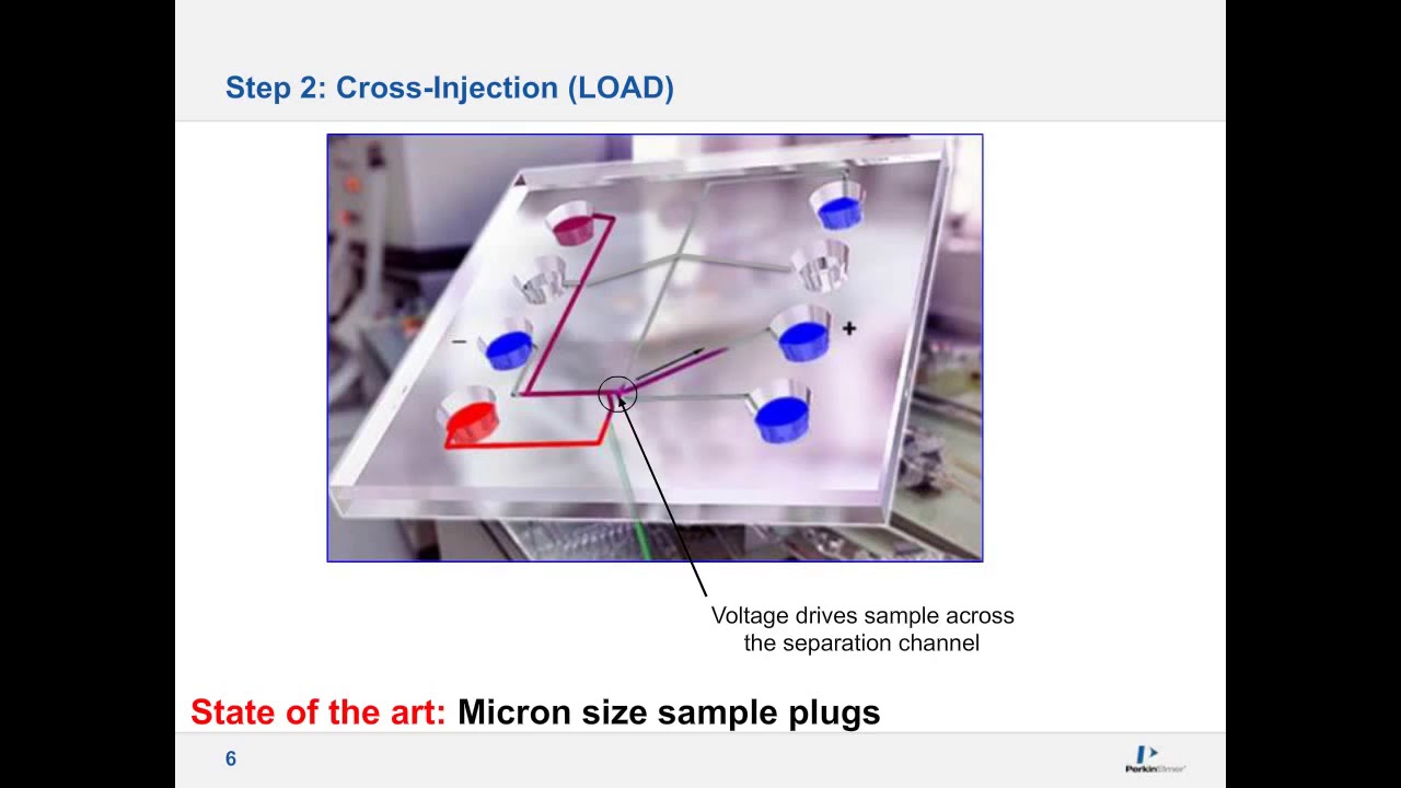 Achieving Higher Resolution Protein Impurity Analysis with Microfluidic ...