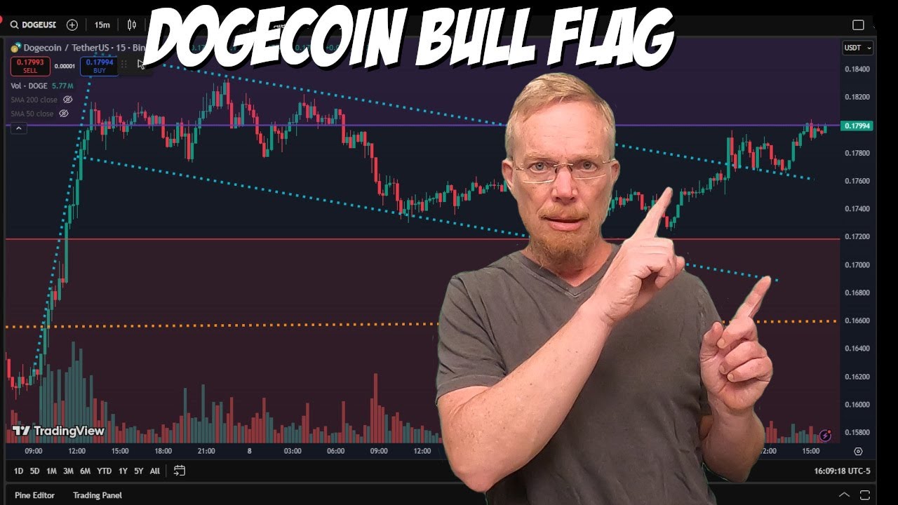 Dogecoin Bull Flag / Government Shutdown Vote LIVE - YouTube