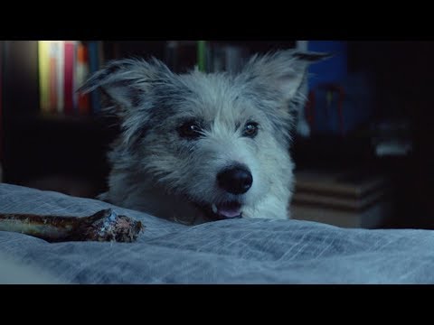 Michael Wong - Flybuys 'We Love To Give'
