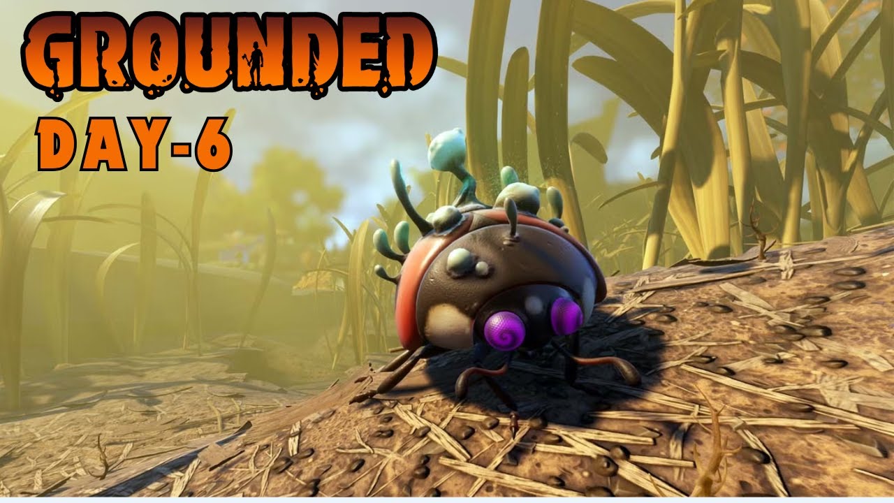 Grounded Live | Day 6 of doing the Main Quest! - YouTube