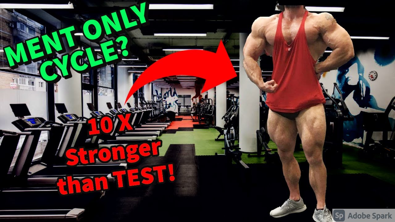 MENT / Trestolone Only Cycle | Doctor's Analysis | Strongest Steroid ...
