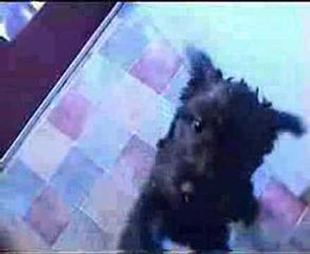 Heidi Part 2 - YouTube