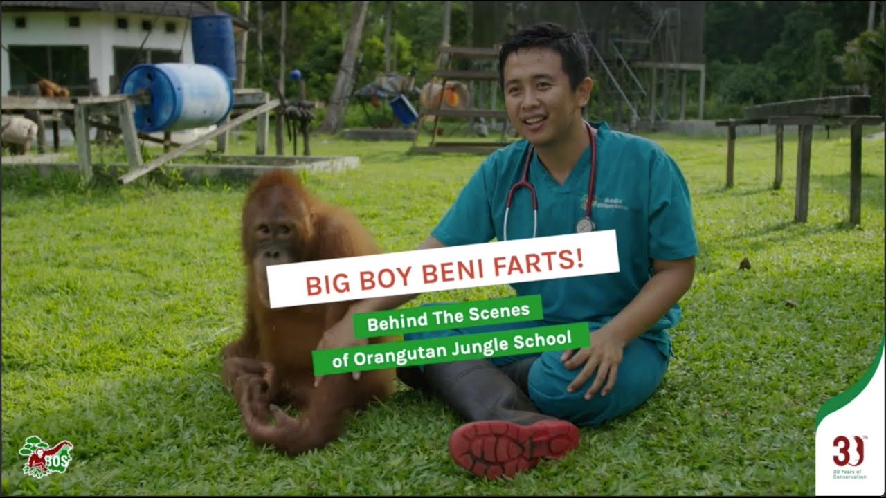 BIG BOY BENI FARTS! - YouTube