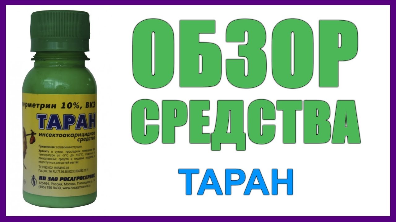 Средство от домашних насекомых и клещей ТАРАН - YouTube
