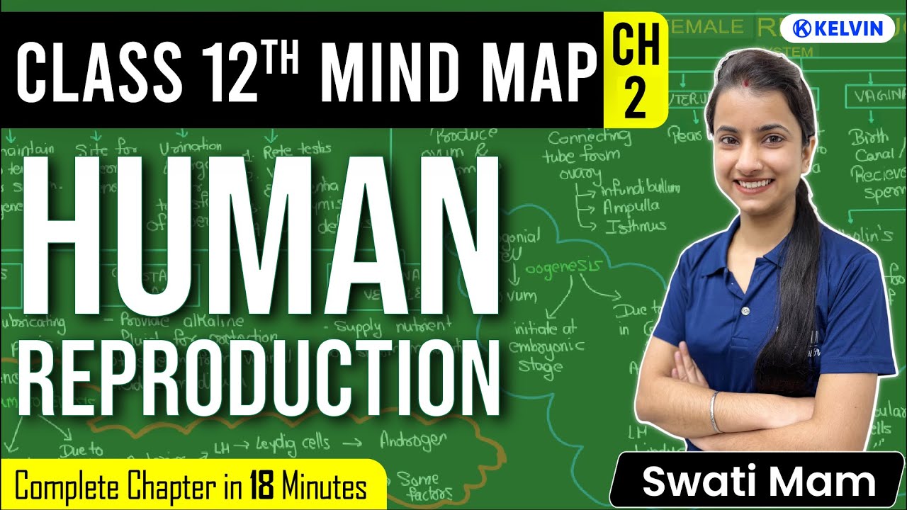 Human Reproduction Mind Map | Class 12 Biology Chapter 2 One Shot ...