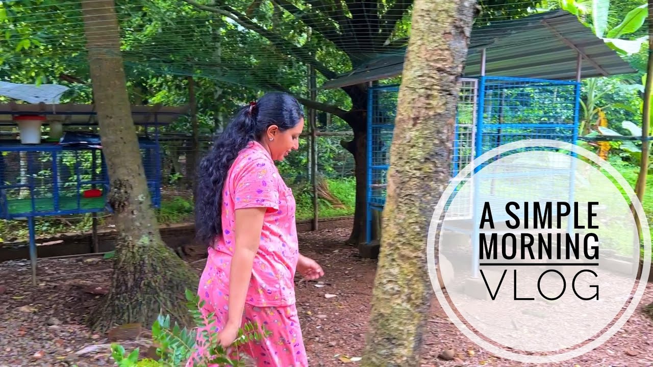 A simple morning vlog | Wide Vlogs - YouTube