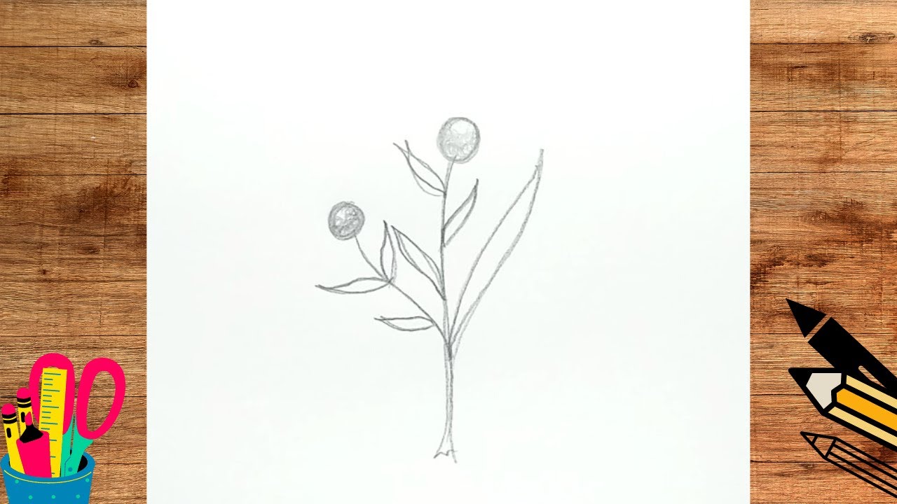 Moon Flower Drawing Easy - YouTube