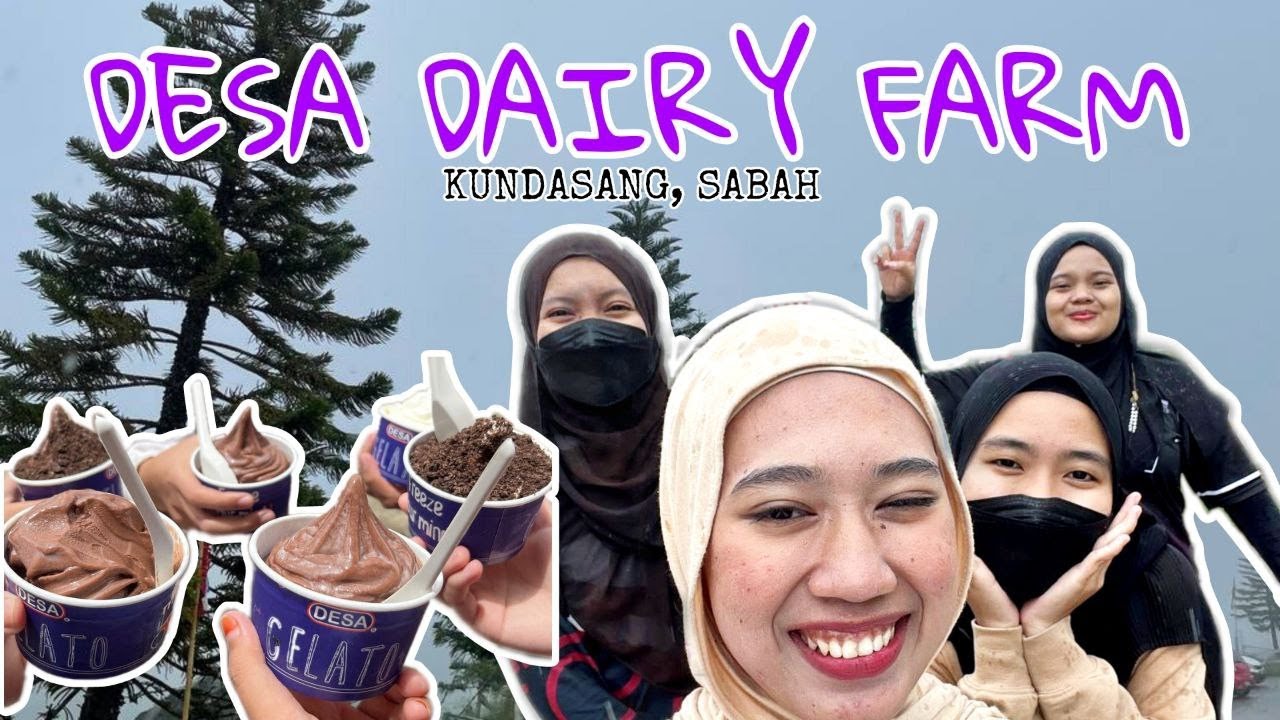 SABAH TRIP | DAY 2 | Desa Dairy Farm - YouTube