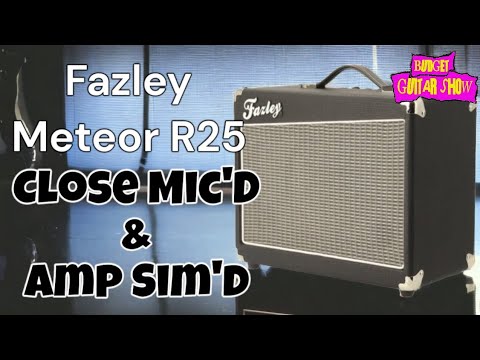 BUDGET FAZLEY AMP ROCKS GAIN TONES - YouTube