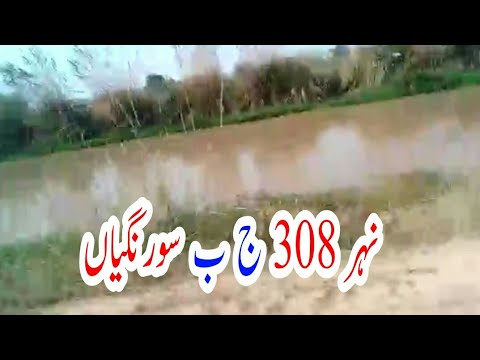 Village Surangian Canal 308 Jangh Branch | Punjab | Pakistan | - YouTube